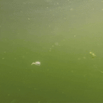 Ozark Rig – Core Tackle